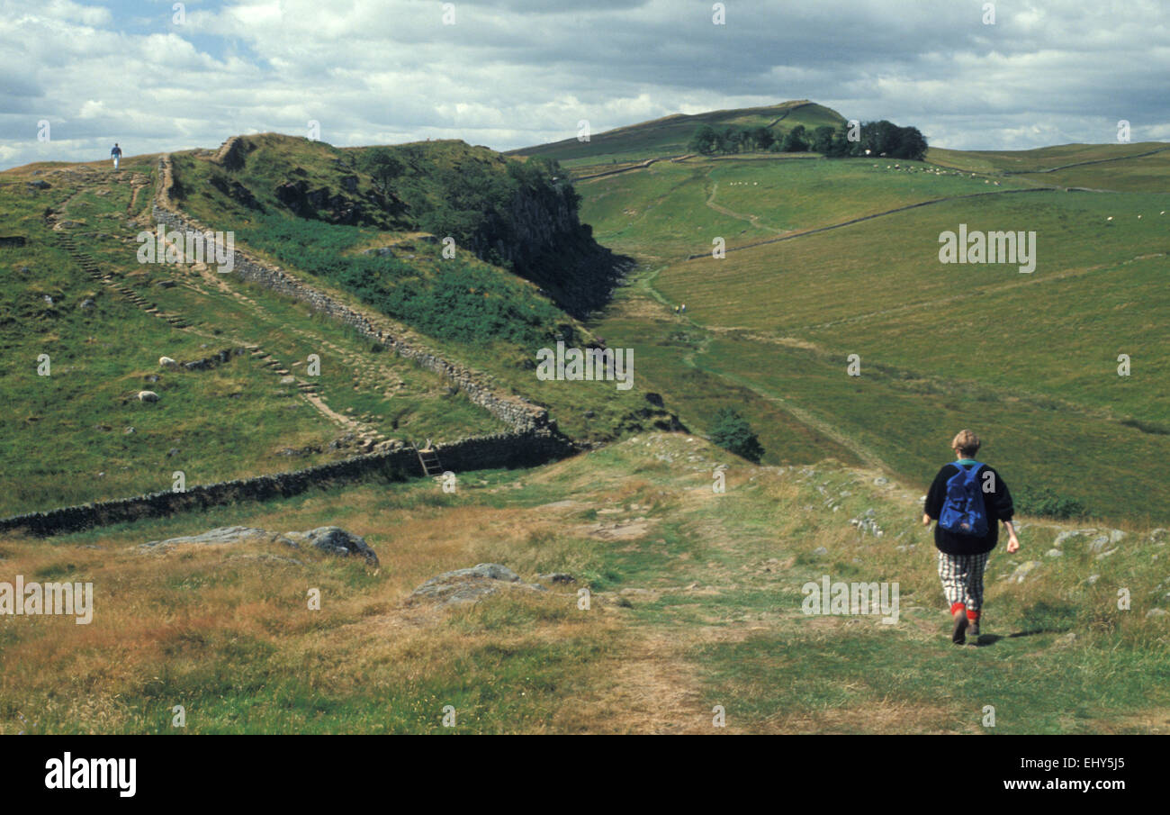 Steel Rigg along Hadrian's Wall Northumberland Stock Photo - Alamy