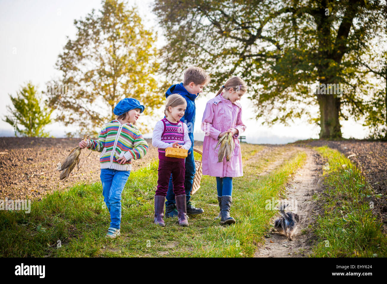 Children playing outdoors Stock Photo - Alamy