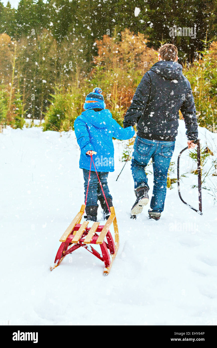 Saw sled hi-res stock photography and images - Alamy