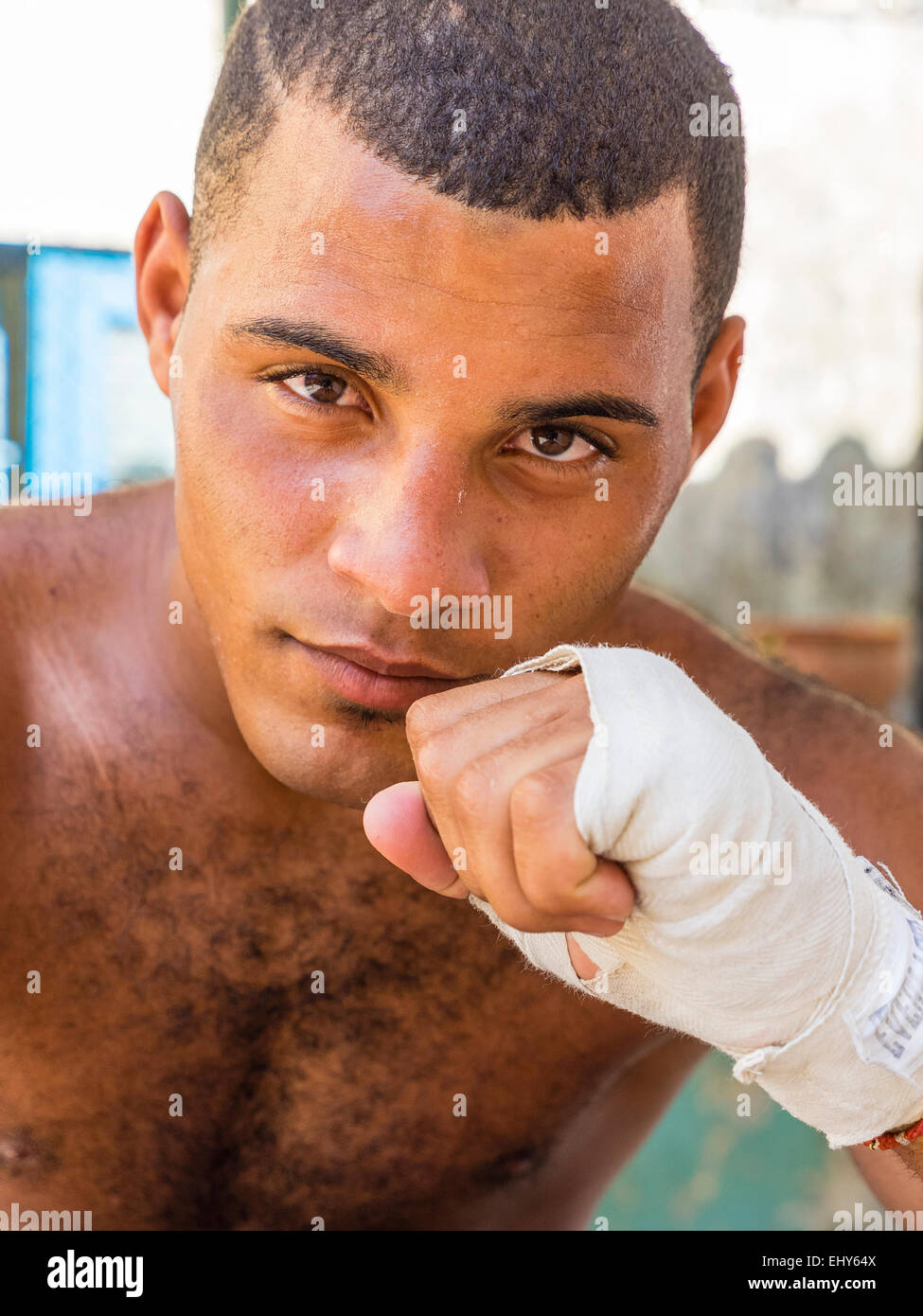 Boxer close up hi-res stock photography and images - Alamy