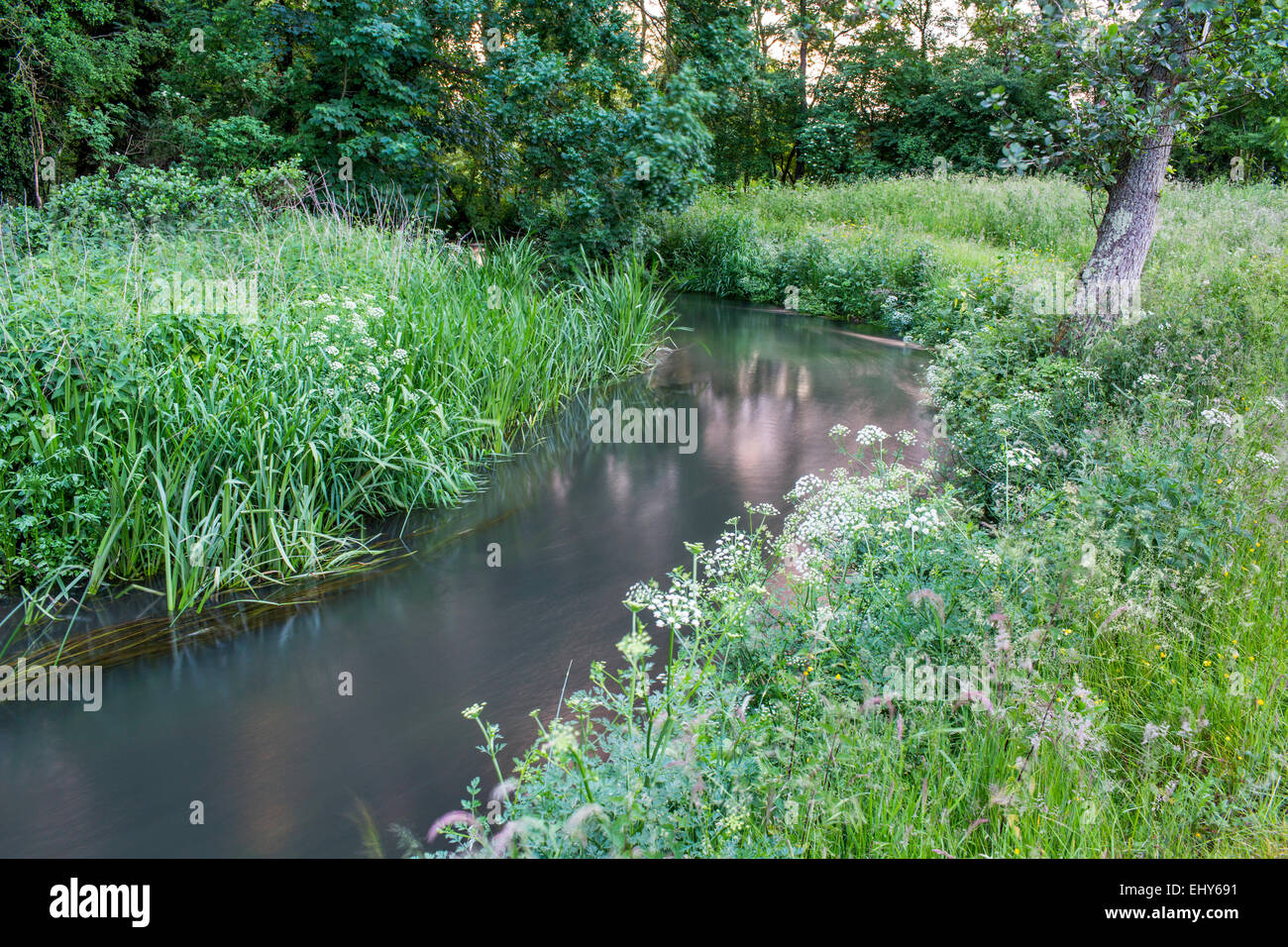 The river loddon basingstoke hi-res stock photography and images - Alamy