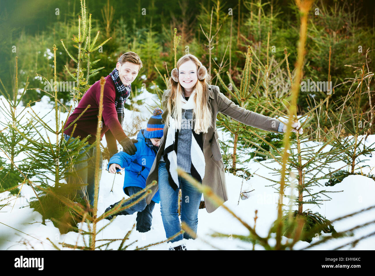 Family searching for the perfect Christmas tree Stock Photo - Alamy