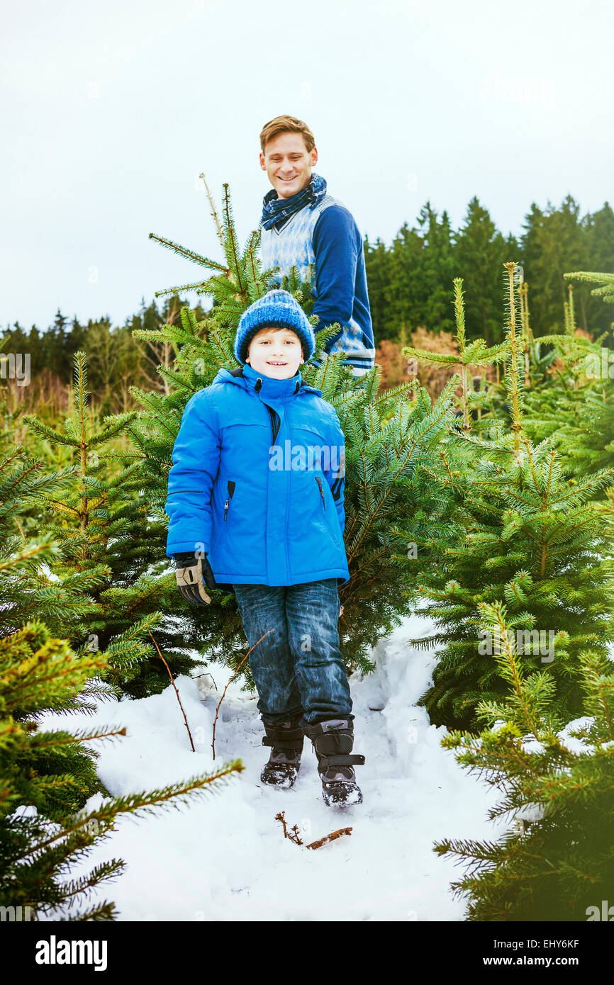 Father and son carrying the perfect Christmas tree Stock Photo - Alamy
