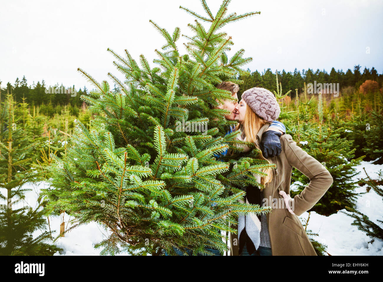 Young couple kissing behind fresh cut Christmas tree Stock Photo - Alamy