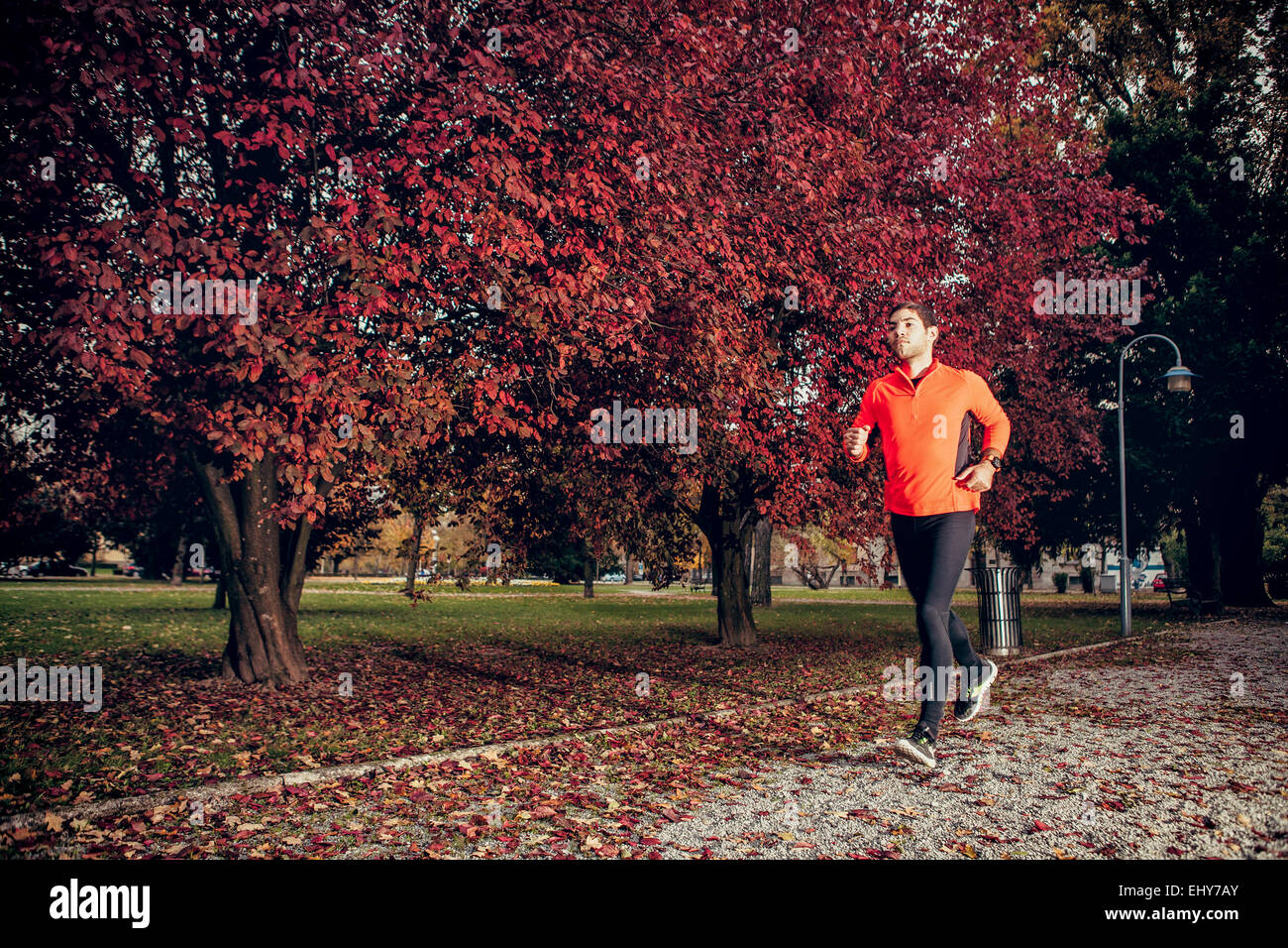 Male runner jogging in autumn park Stock Photo - Alamy