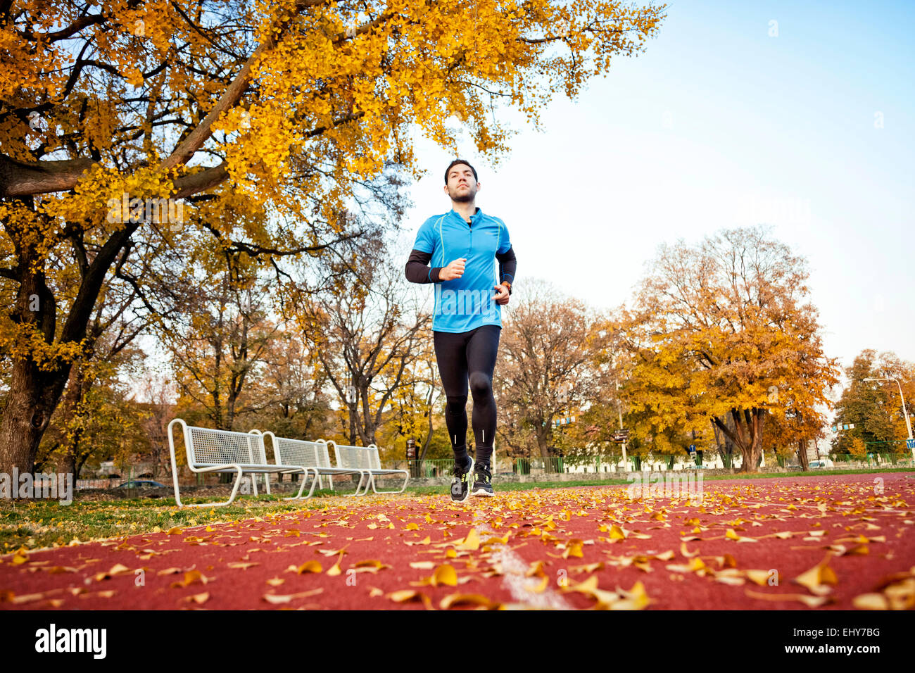 Runner in park hi-res stock photography and images - Alamy