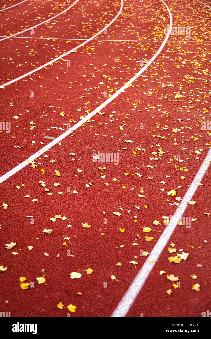Autumn leaves on running track Stock Photo - Alamy
