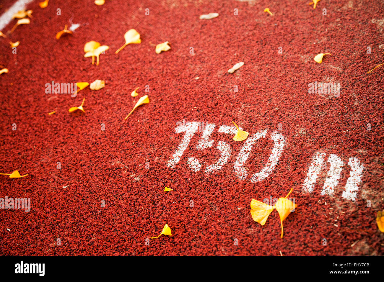 Autumn leaves on running track Stock Photo - Alamy