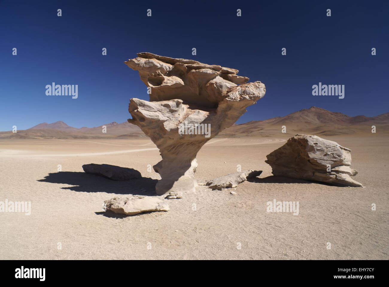 Stone tree in the arid bolivian desert in south american Andes Stock ...