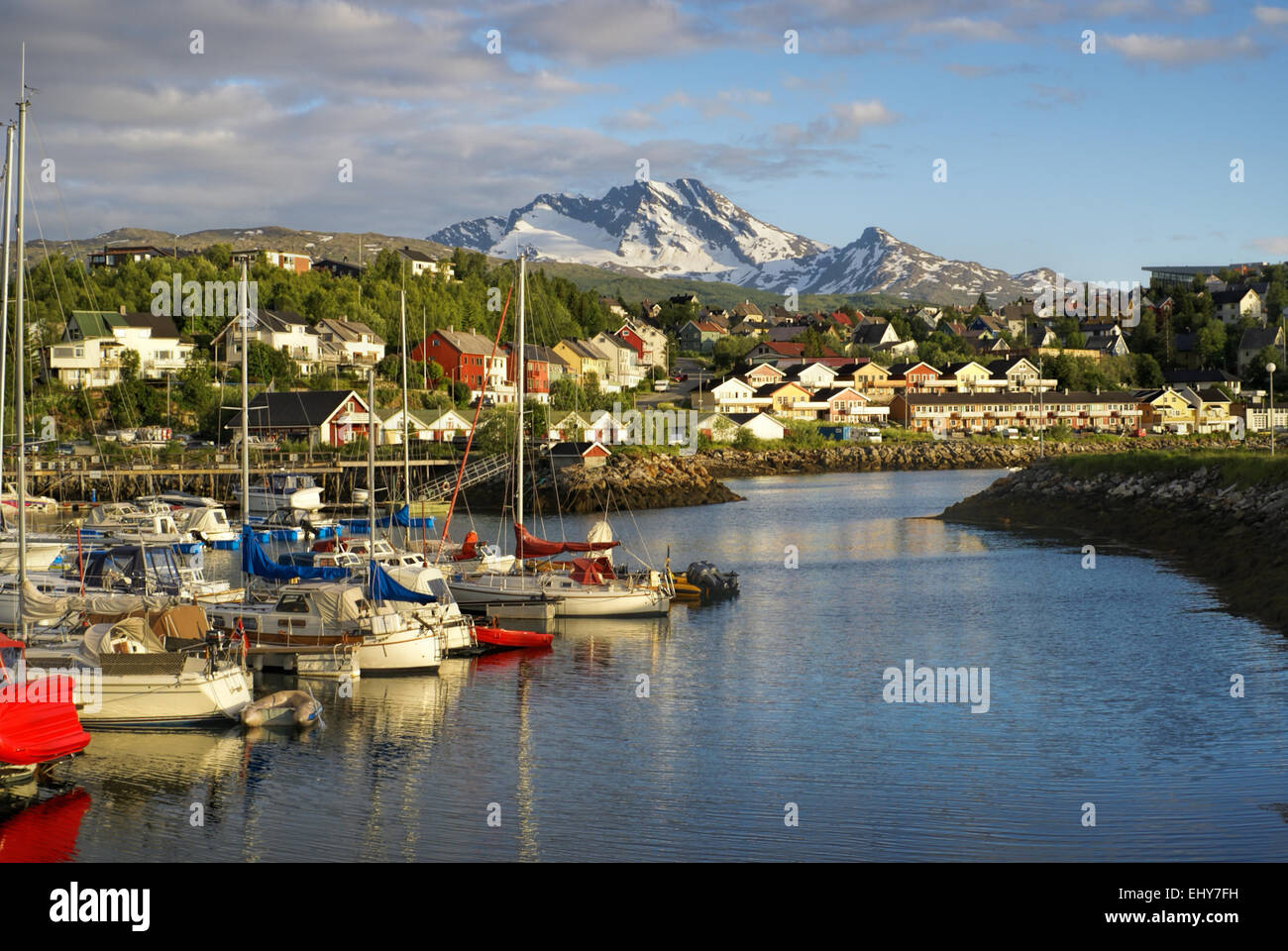 Picturesque view of Narvik and its houses at the foot of a mountain ...