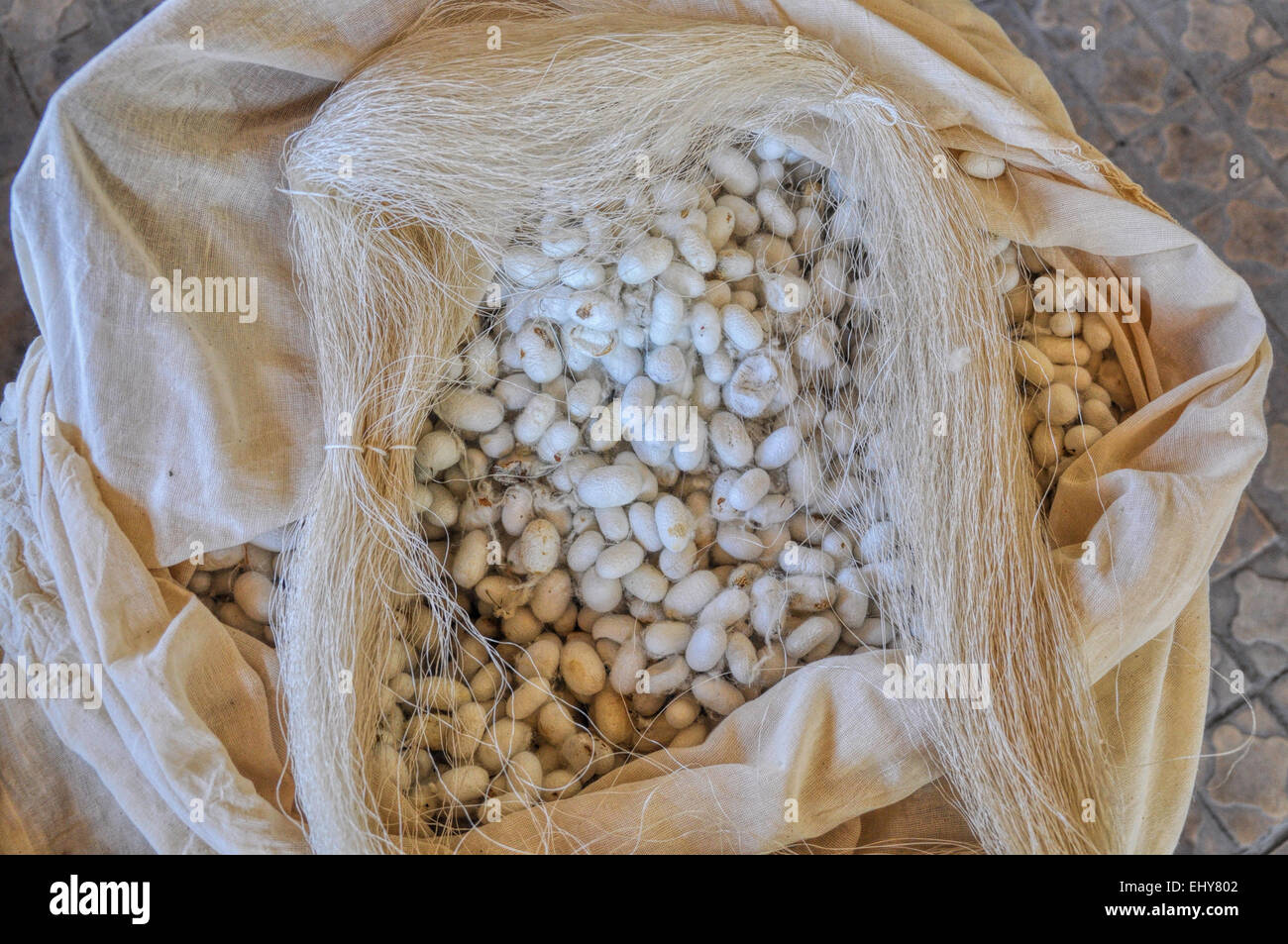 Silkworm production hi-res stock photography and images - Alamy