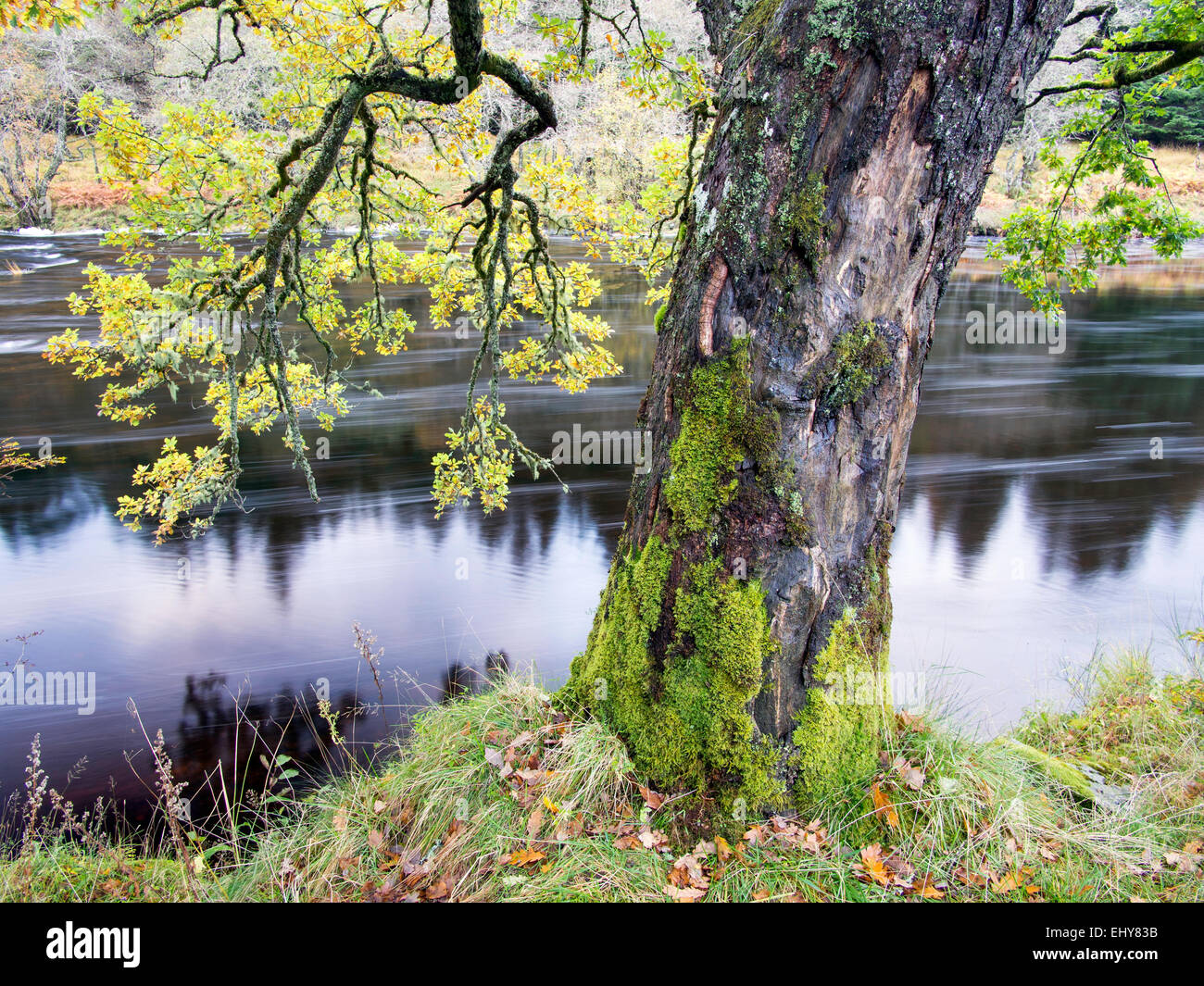 Olympus Omd Em5 High Resolution Stock Photography and Images - Alamy
