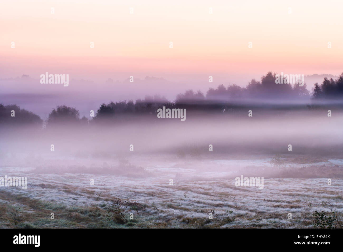 A misty colourful morning at Chobham Common national nature reserve ...