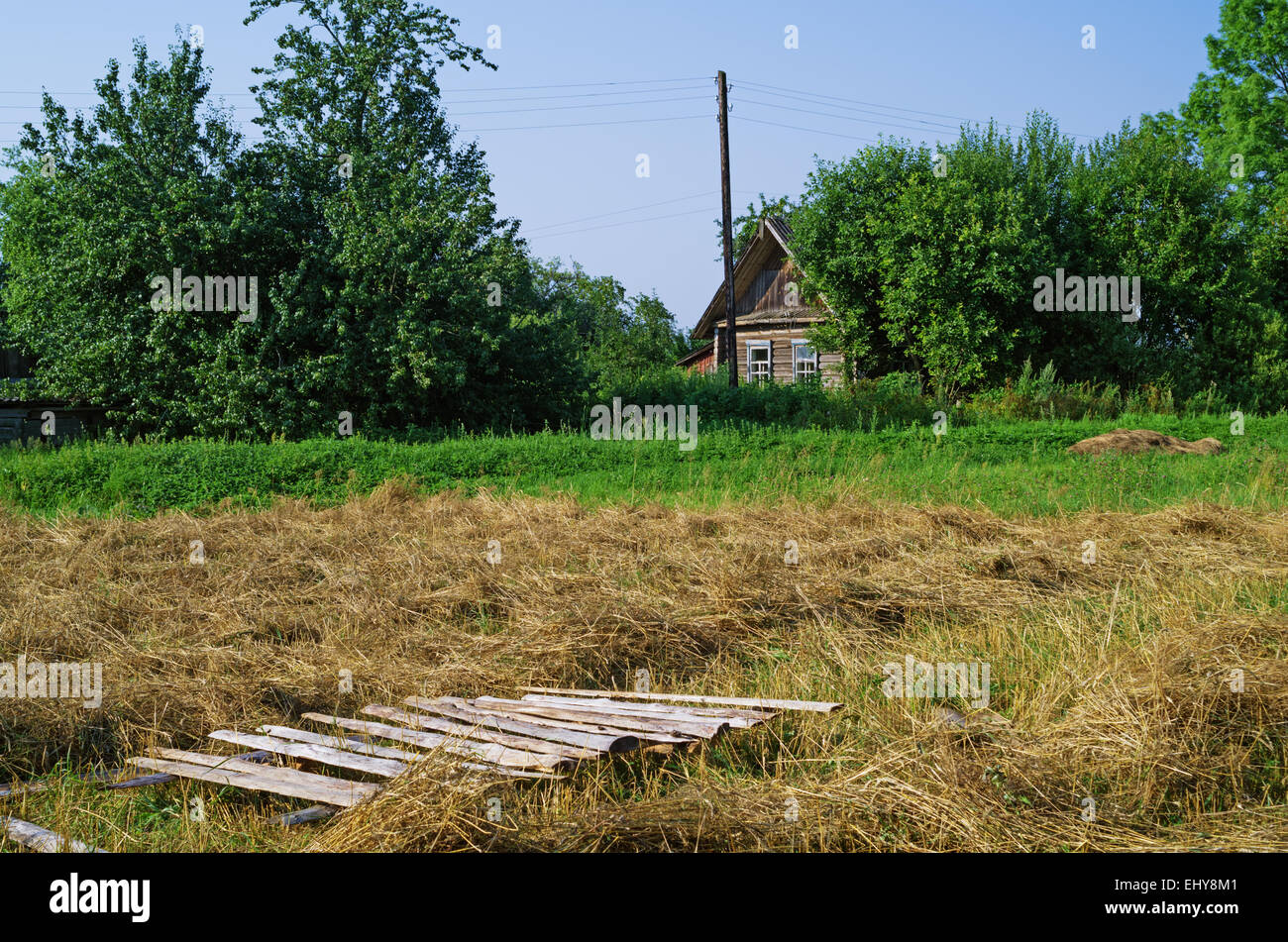 Rural landscape. The dried hay on the small field near village house ...