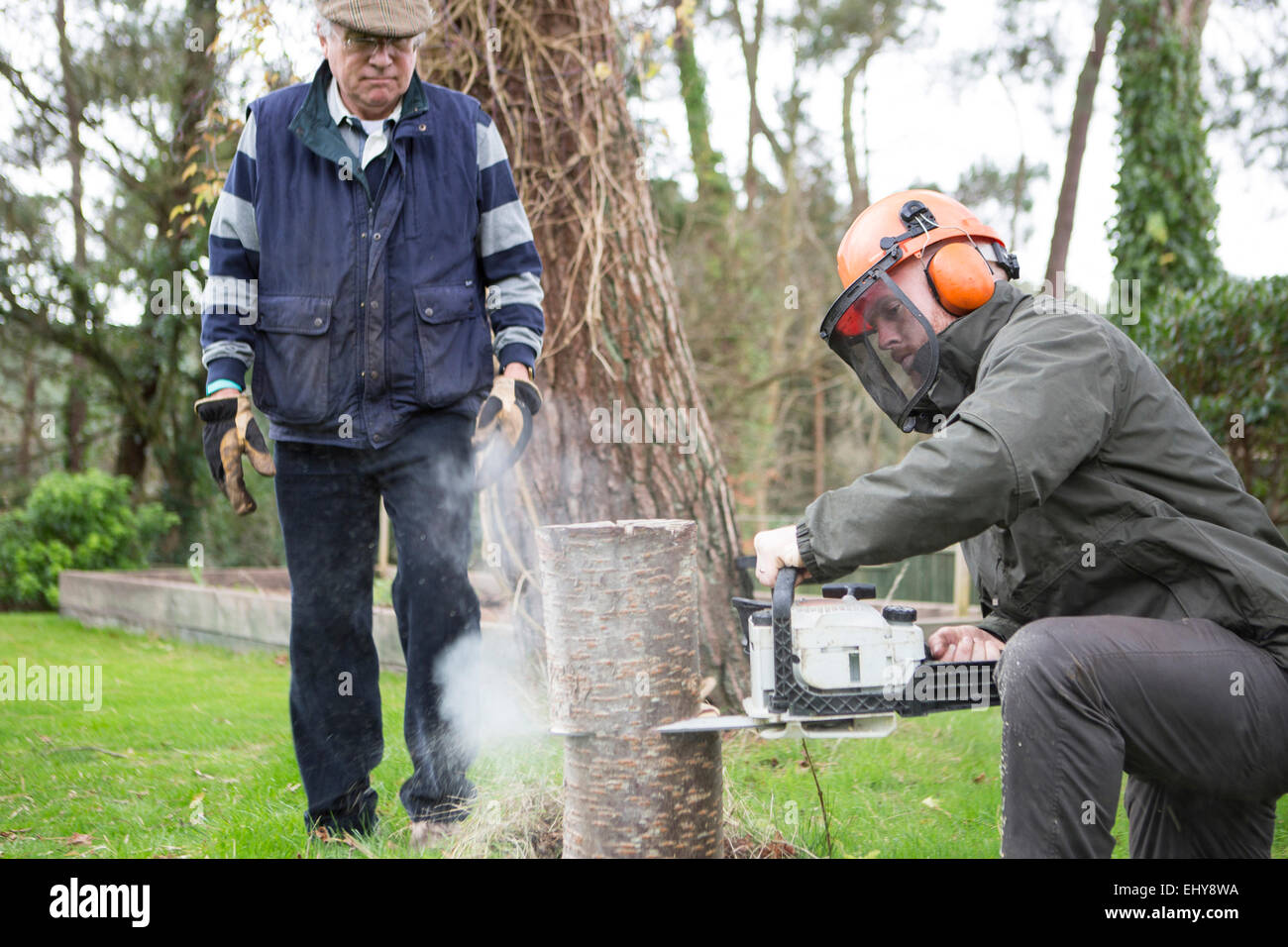Tree cutting team hi-res stock photography and images - Alamy