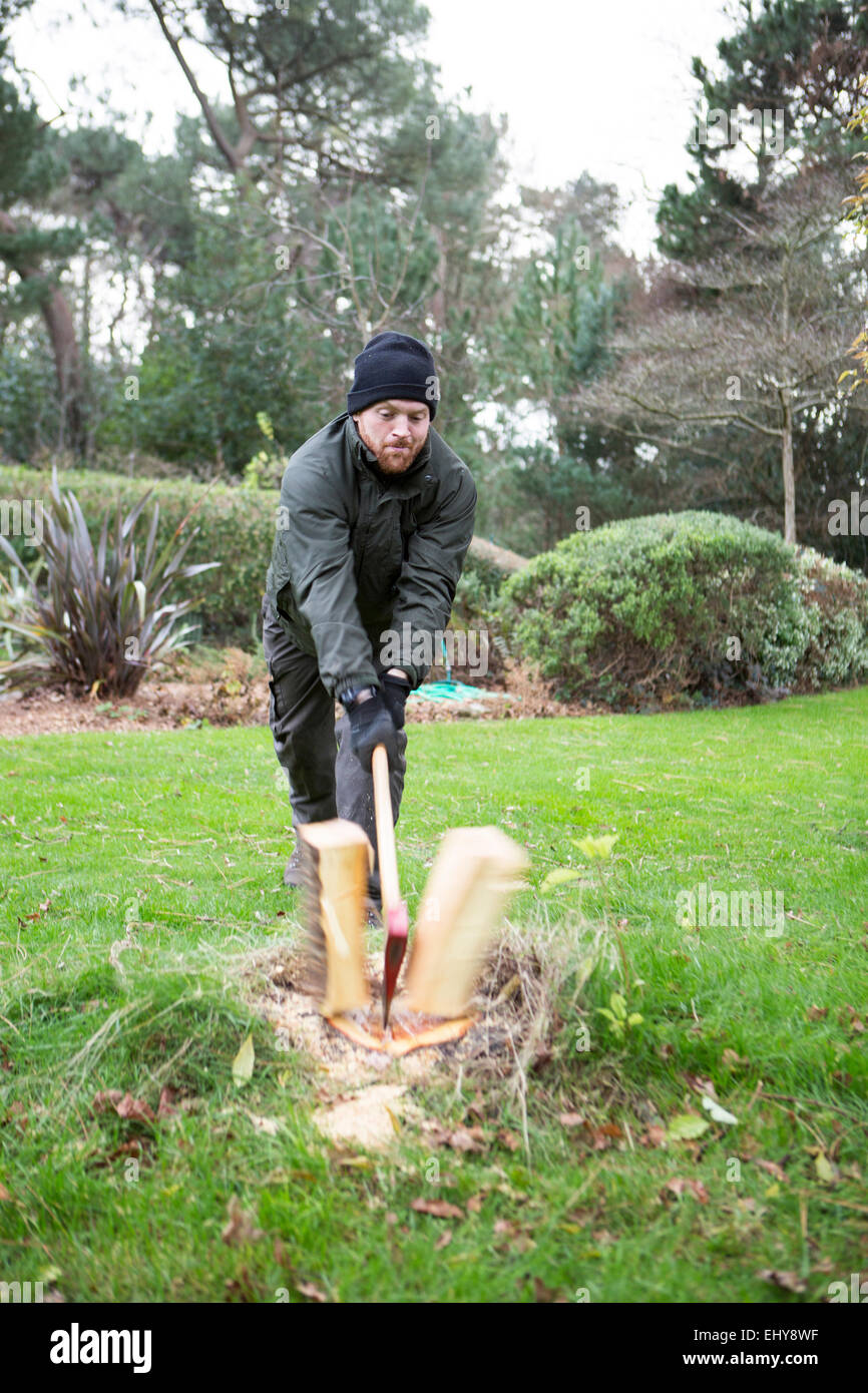 Splitting log in half with axe, Bournemouth, County Dorset, UK, Europe ...