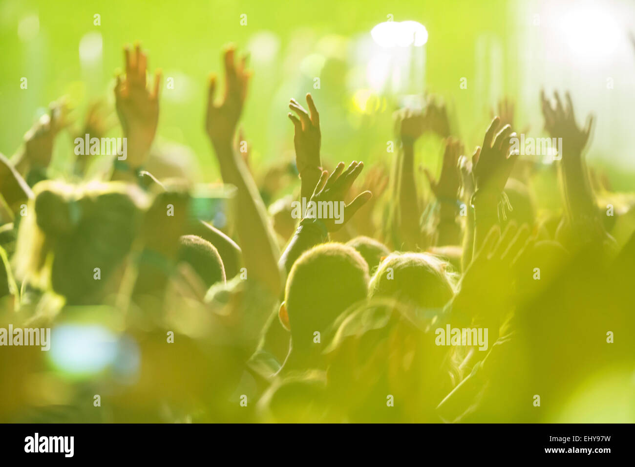 Young people having fun at music concert Stock Photo - Alamy