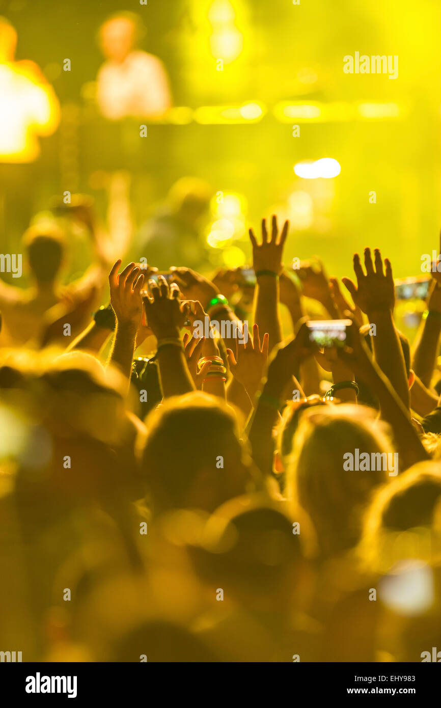 Young people having fun at music concert Stock Photo - Alamy