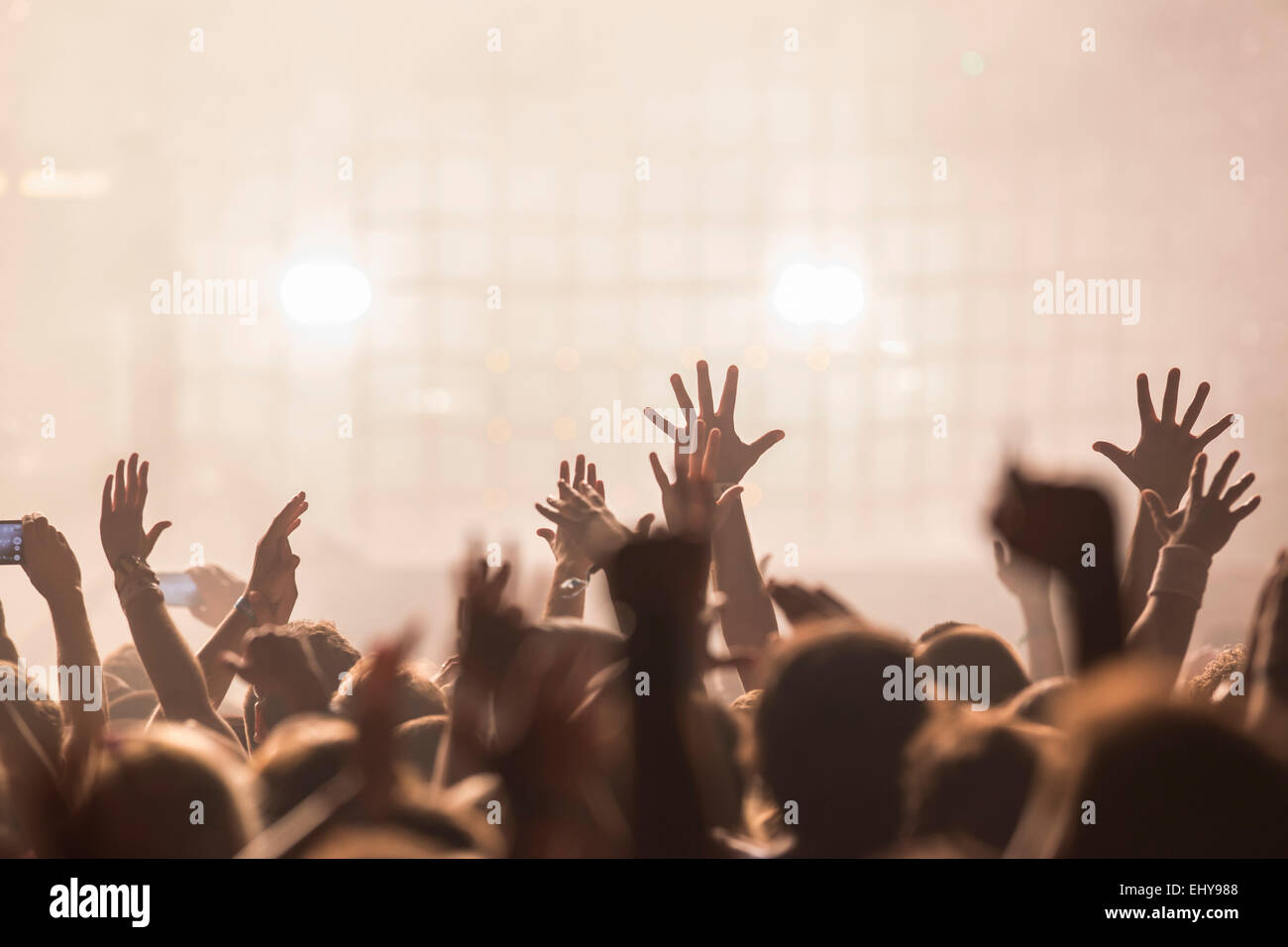 Young people having fun at music concert Stock Photo - Alamy