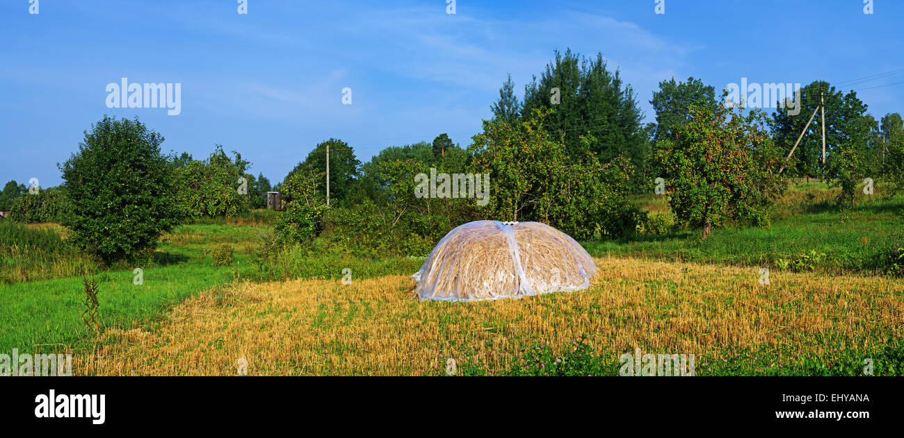 Rural landscape. Small field in garden Stock Photo - Alamy