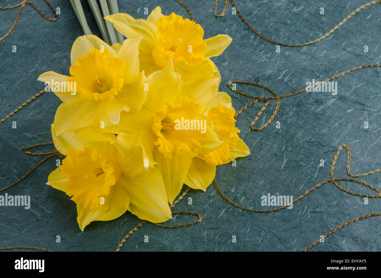 Yellow jonquil flowers on green background Stock Photo - Alamy