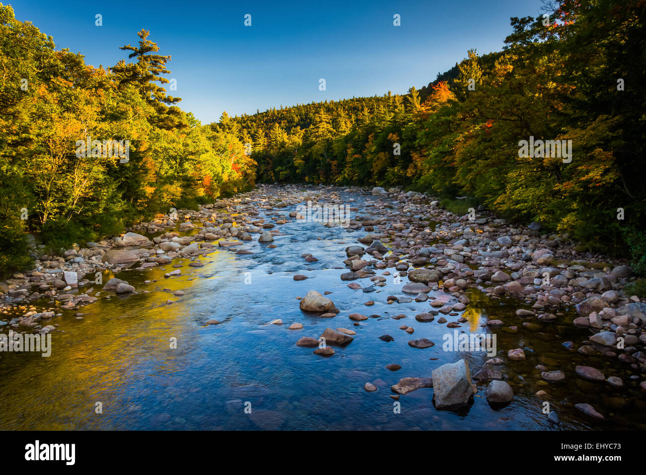 The Swift River, in White Mountain National Forest, New Hampshire Stock ...