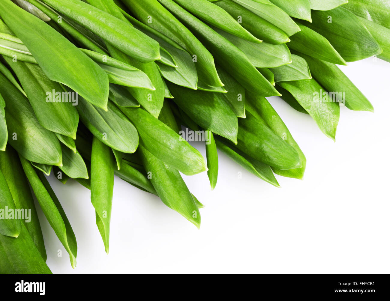 green wild garlic isolated on the white background Stock Photo - Alamy