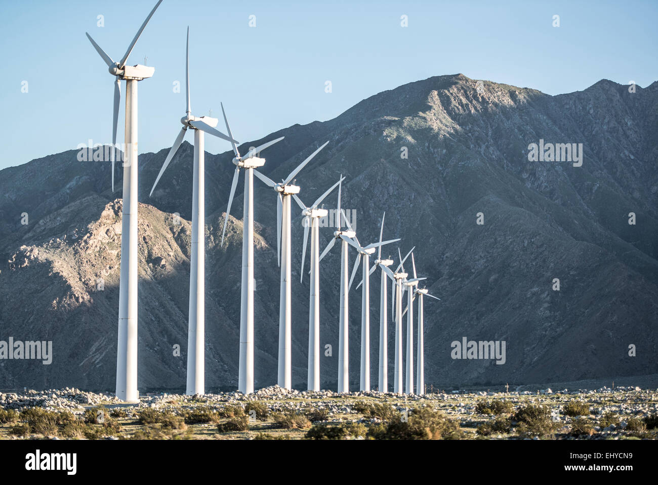 Southern California Wind Turbines Power Plant. Energy Industry Theme ...