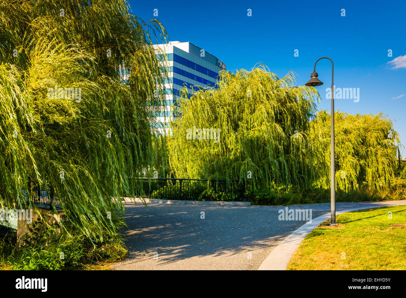 Trees and a modern building seen at North Point Park in Boston ...