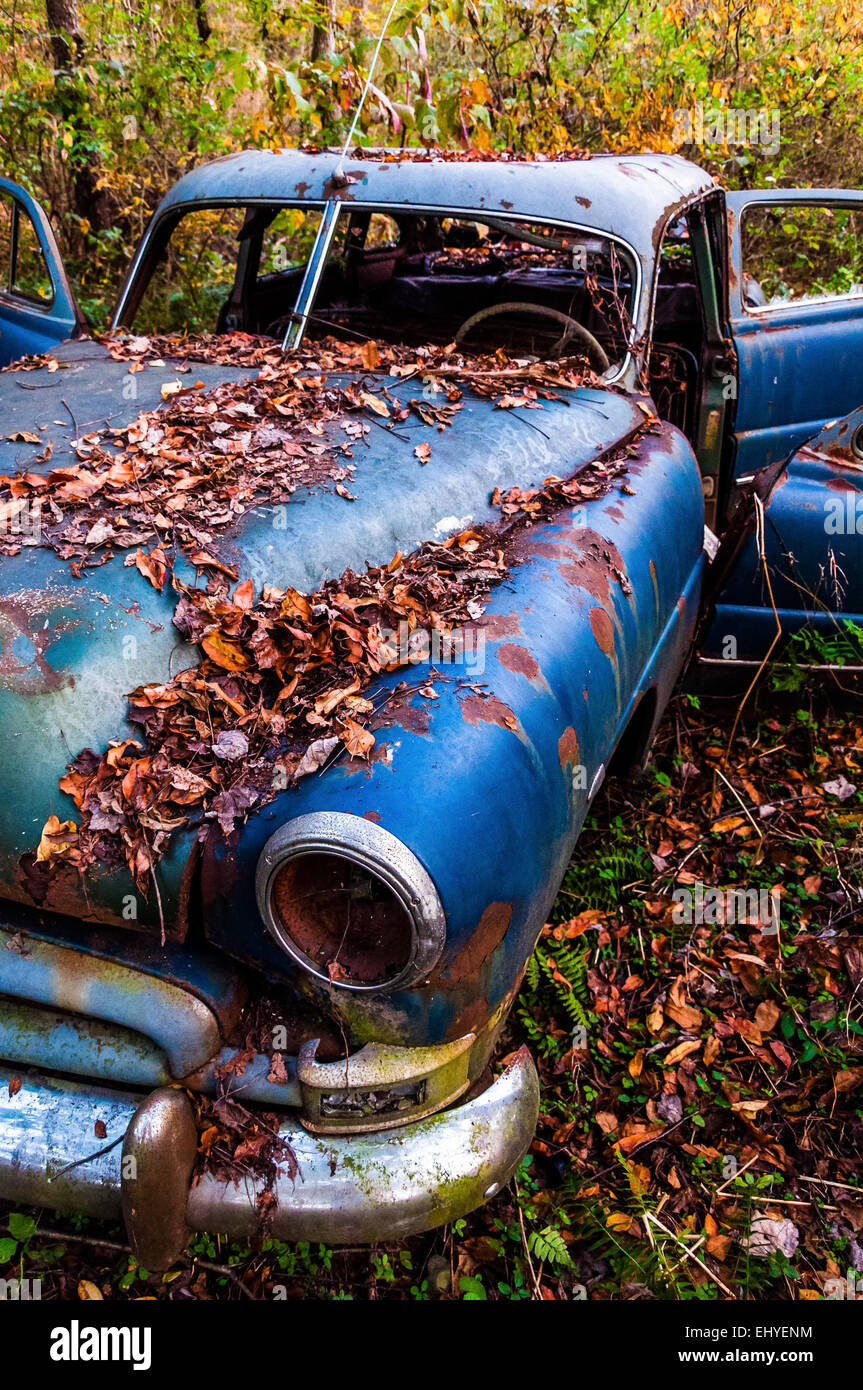 Abandoned junk car in woods hi-res stock photography and images - Alamy