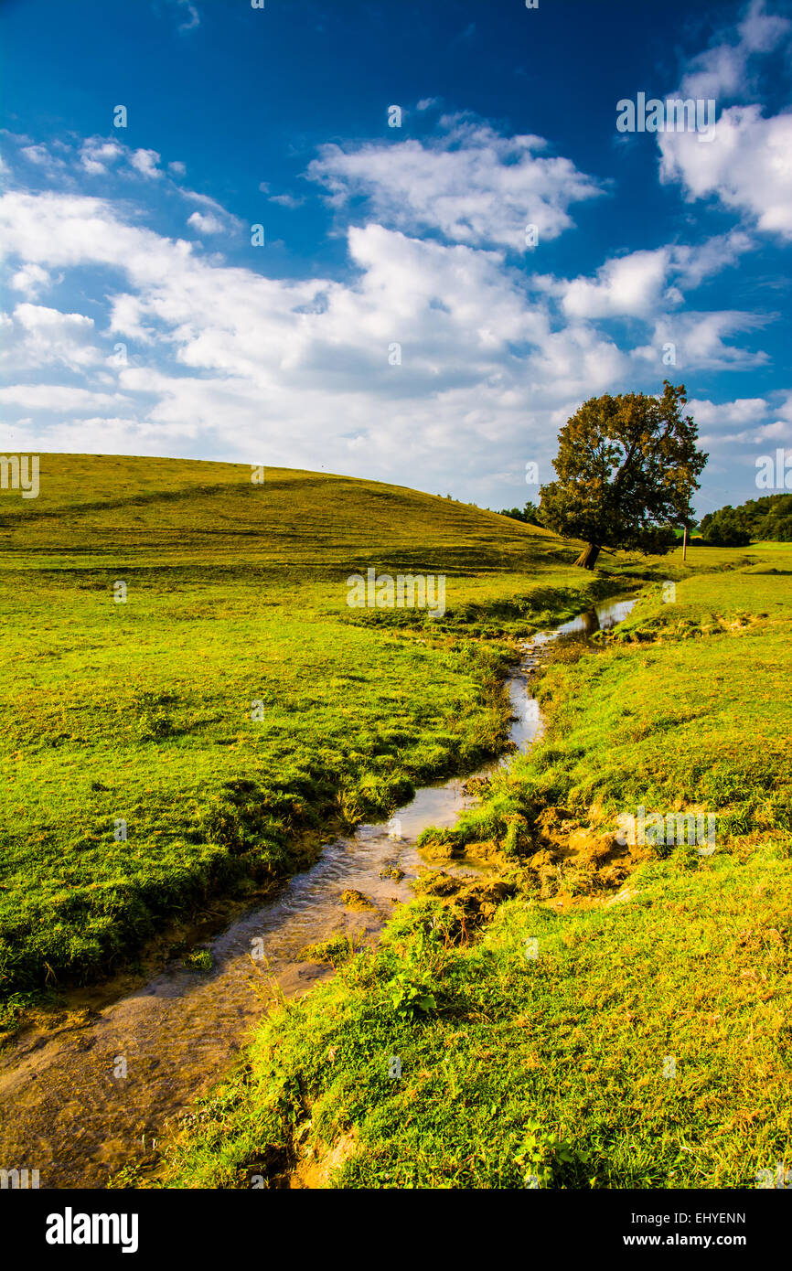 A small stream and tree in a farm field, in rural York County ...