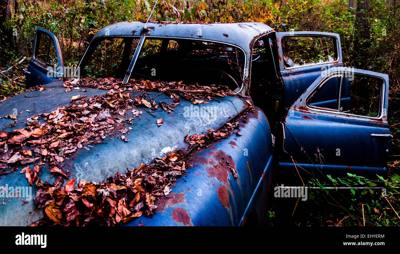 Abandoned junk car in woods hi-res stock photography and images - Alamy