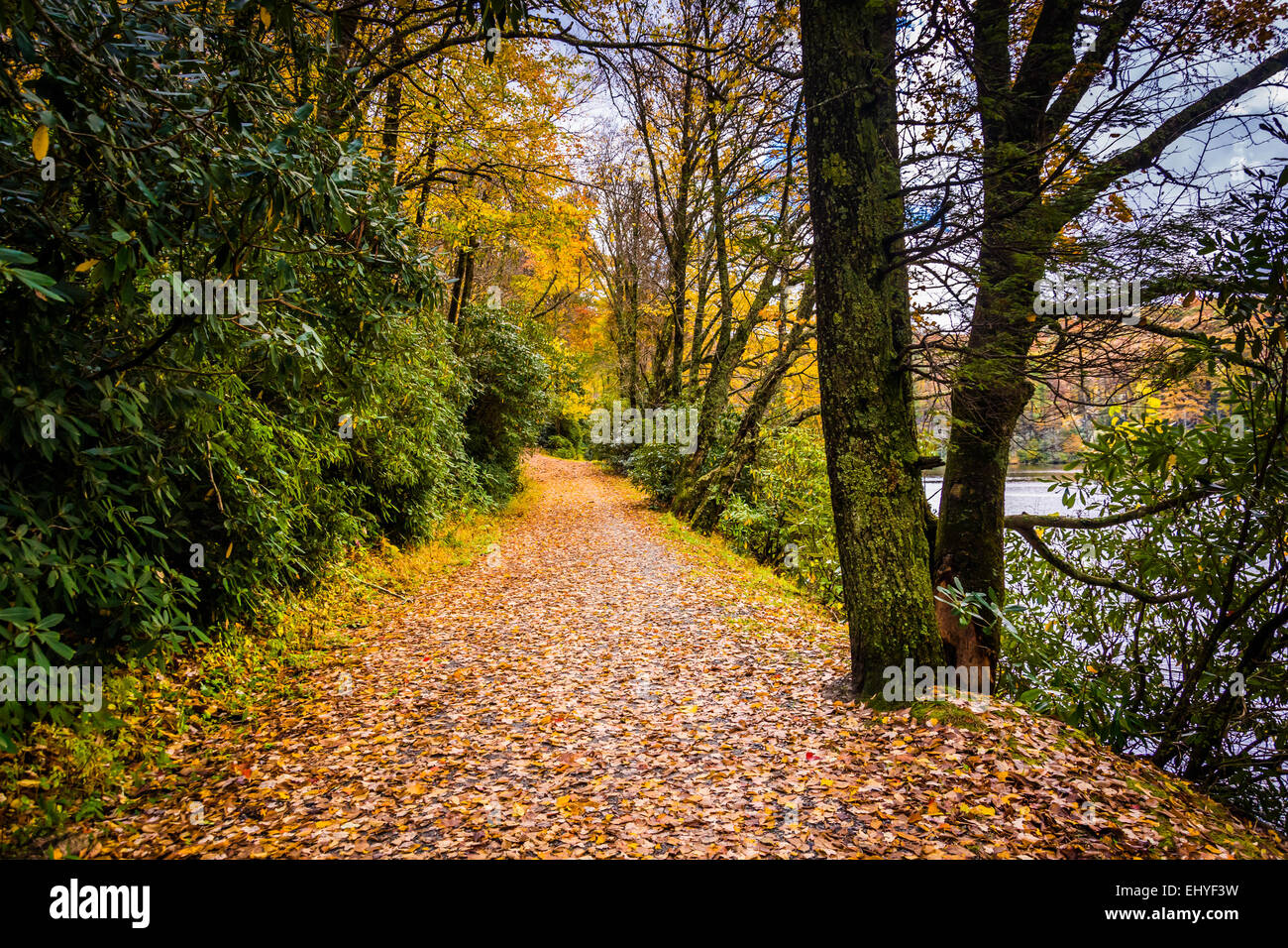Moses H Cone High Resolution Stock Photography and Images - Alamy