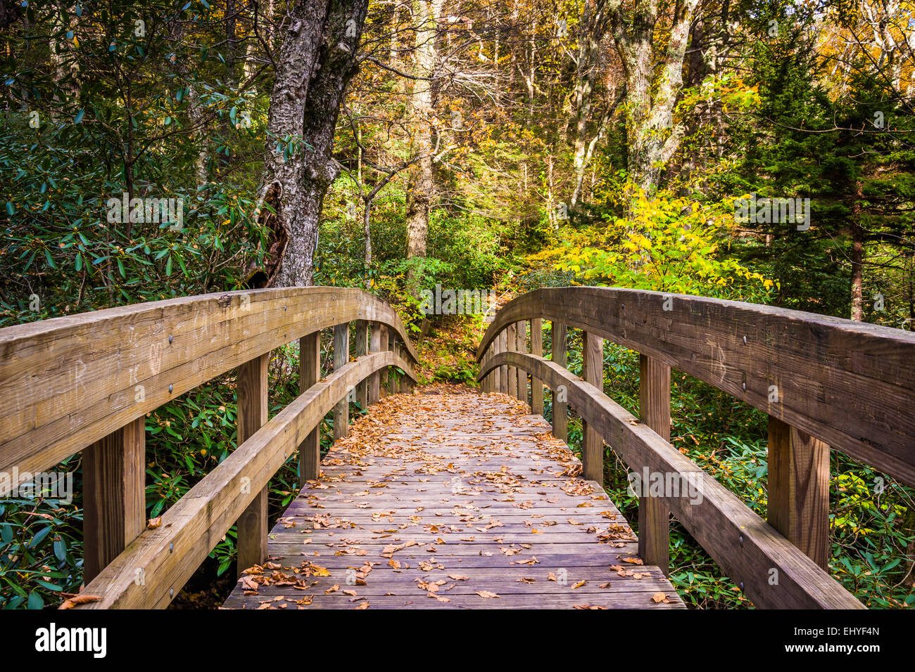 Autumn color and bridge on the Tanawha Trail, along the Blue Ridge ...