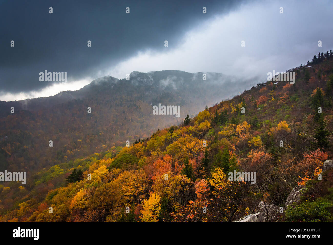 Autumn color and view of Grandfather Mountain from Rough Ridge, on the ...