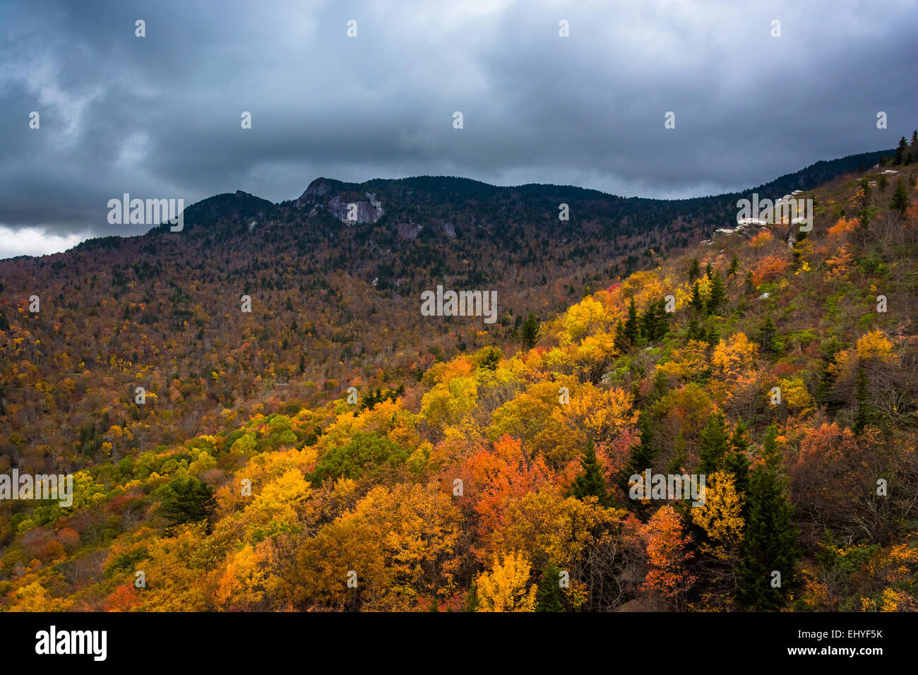 Autumn color and view of Grandfather Mountain from Rough Ridge, on the ...