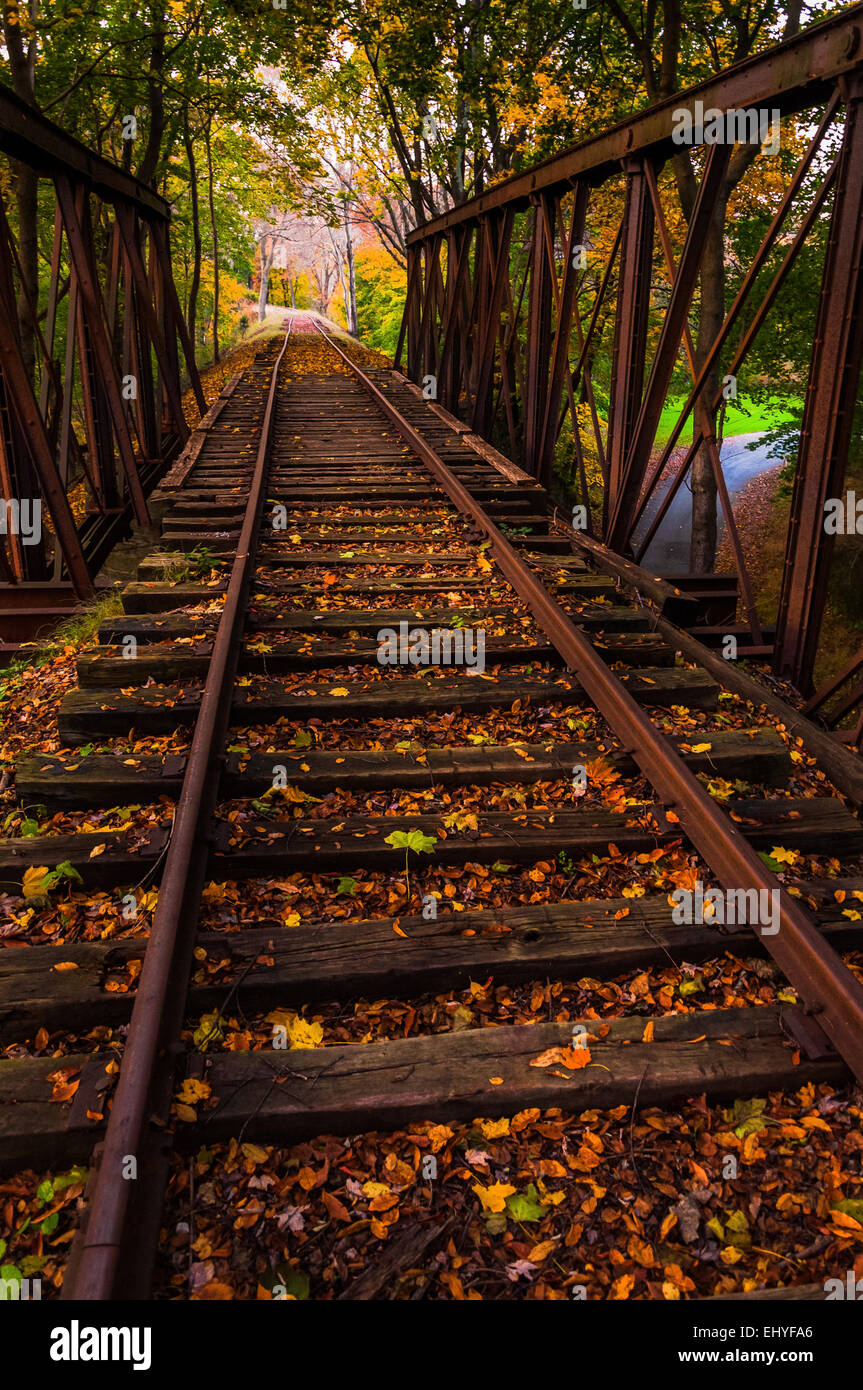 Fall leaves on railroad tracks hi-res stock photography and images - Alamy