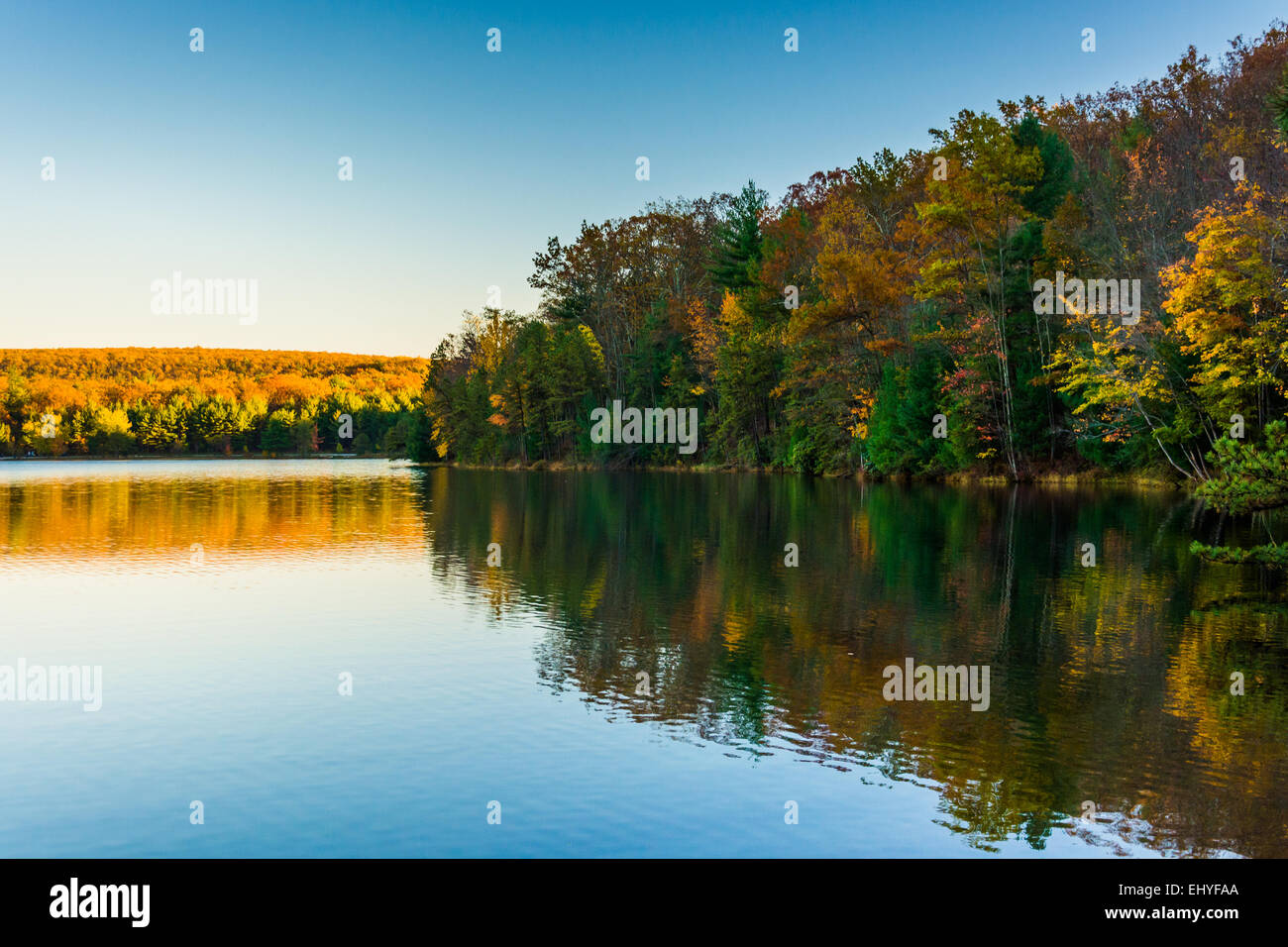 Autumn reflections in Long Pine Run Reservoir, in Michaux State Forest ...