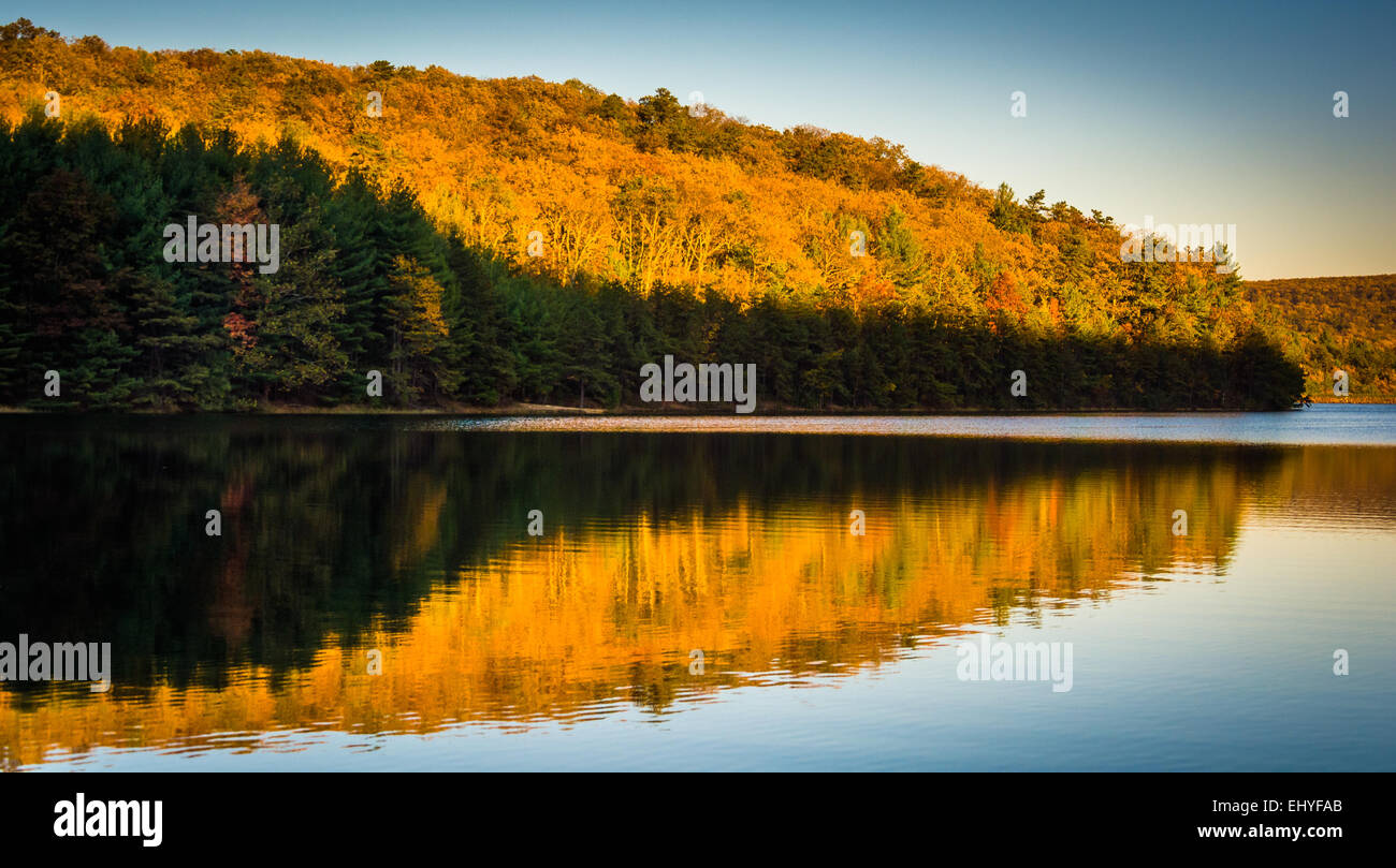 Autumn reflections in Long Pine Run Reservoir, in Michaux State Forest ...
