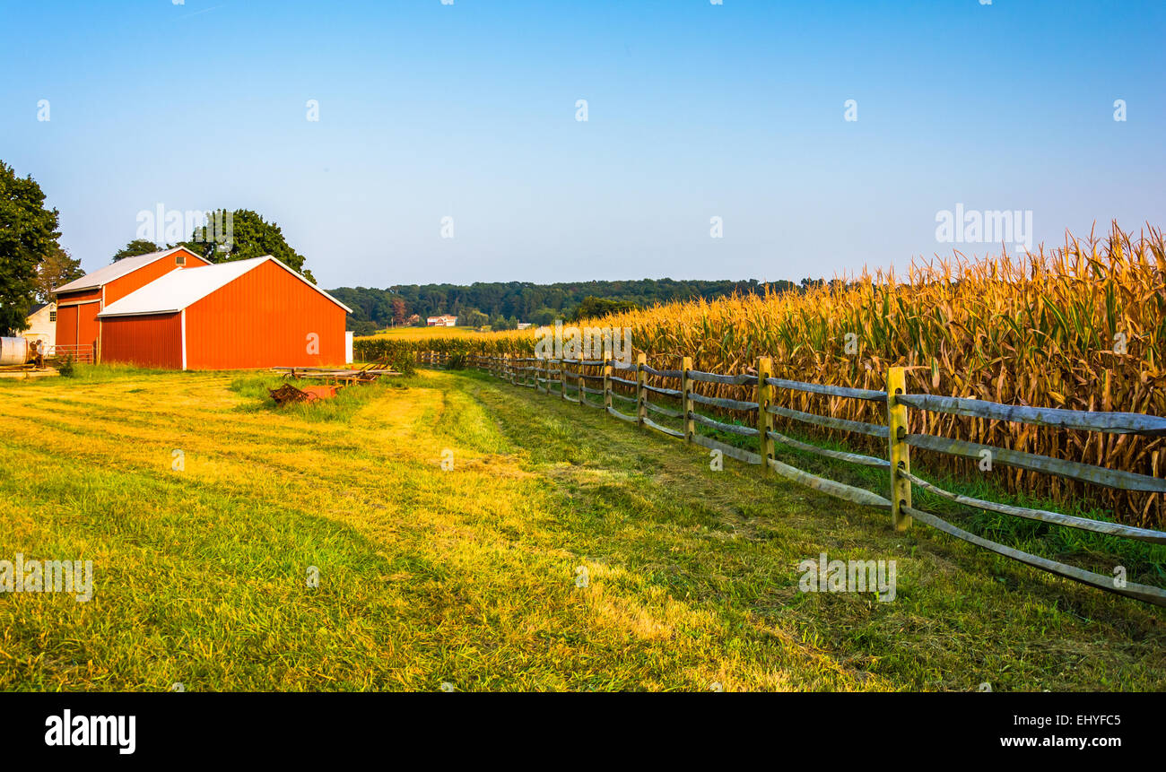 Barn and corn field on a farm in rural York County, Pennsylvania Stock ...