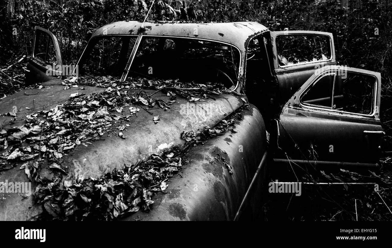 Grass covered car Black and White Stock Photos & Images - Alamy