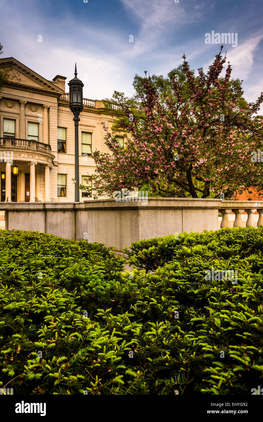 Speaker ryan hi-res stock photography and images - Alamy