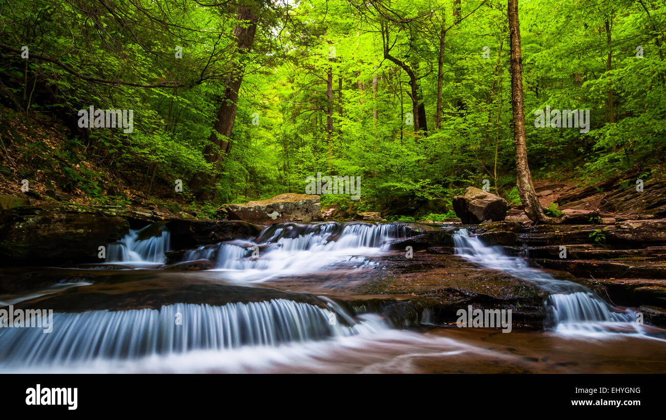 Cascades and bright spring greens on Glen Leigh, in Ricketts Glen State ...