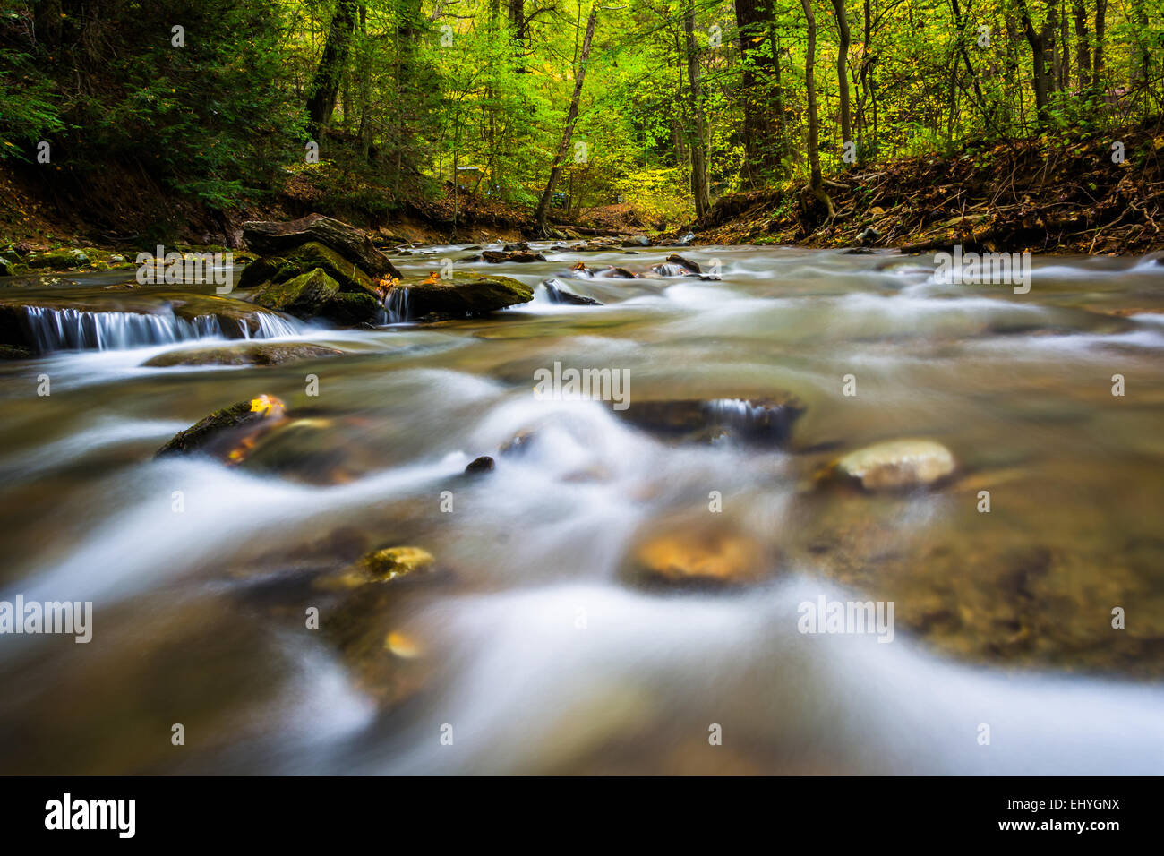 Cascades in a stream at Tucquan Glen, in Lancaster County, Pennsylvania ...
