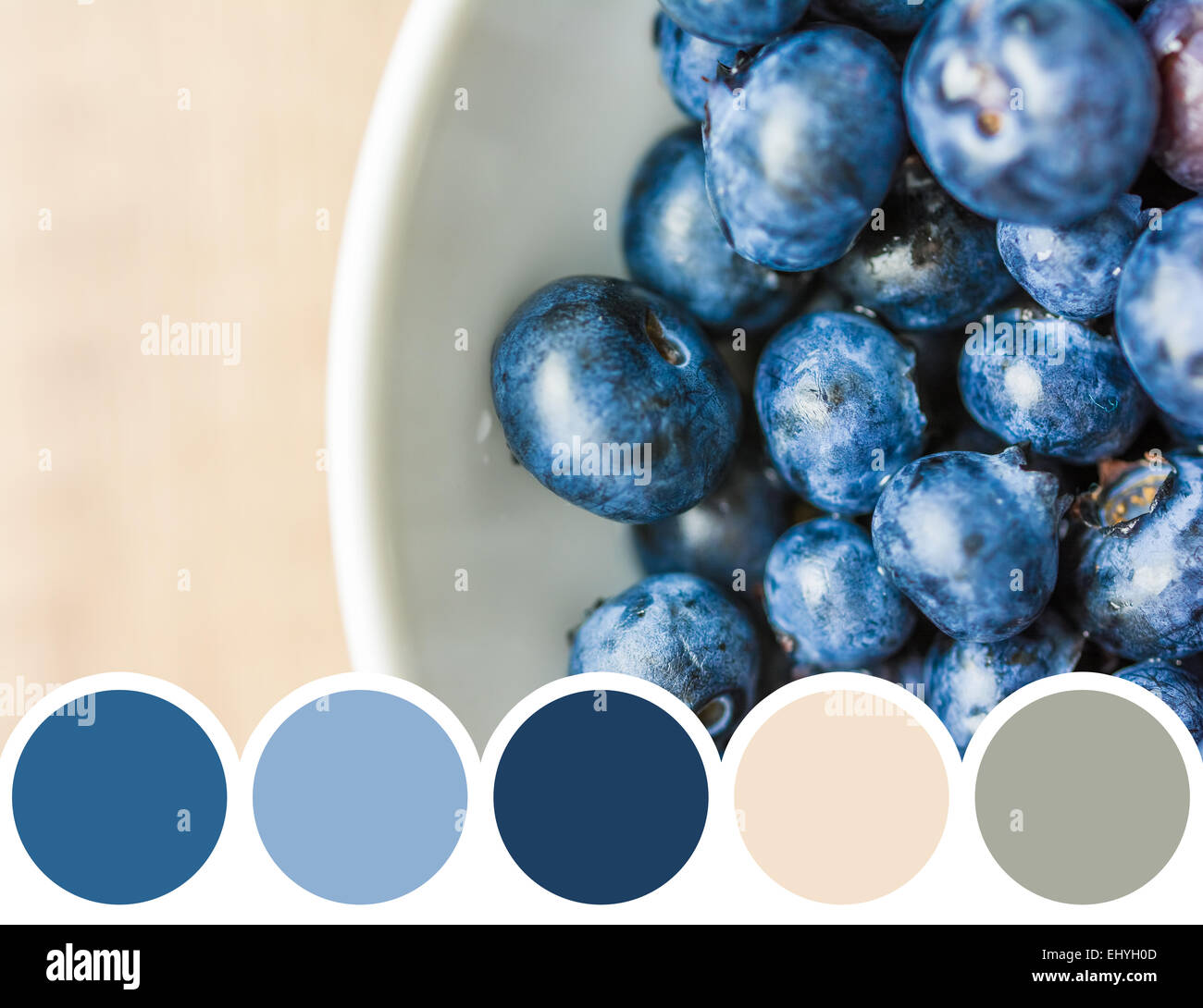 Color Palette Of Fresh Blueberries In White Bowl Stock Photo - Alamy