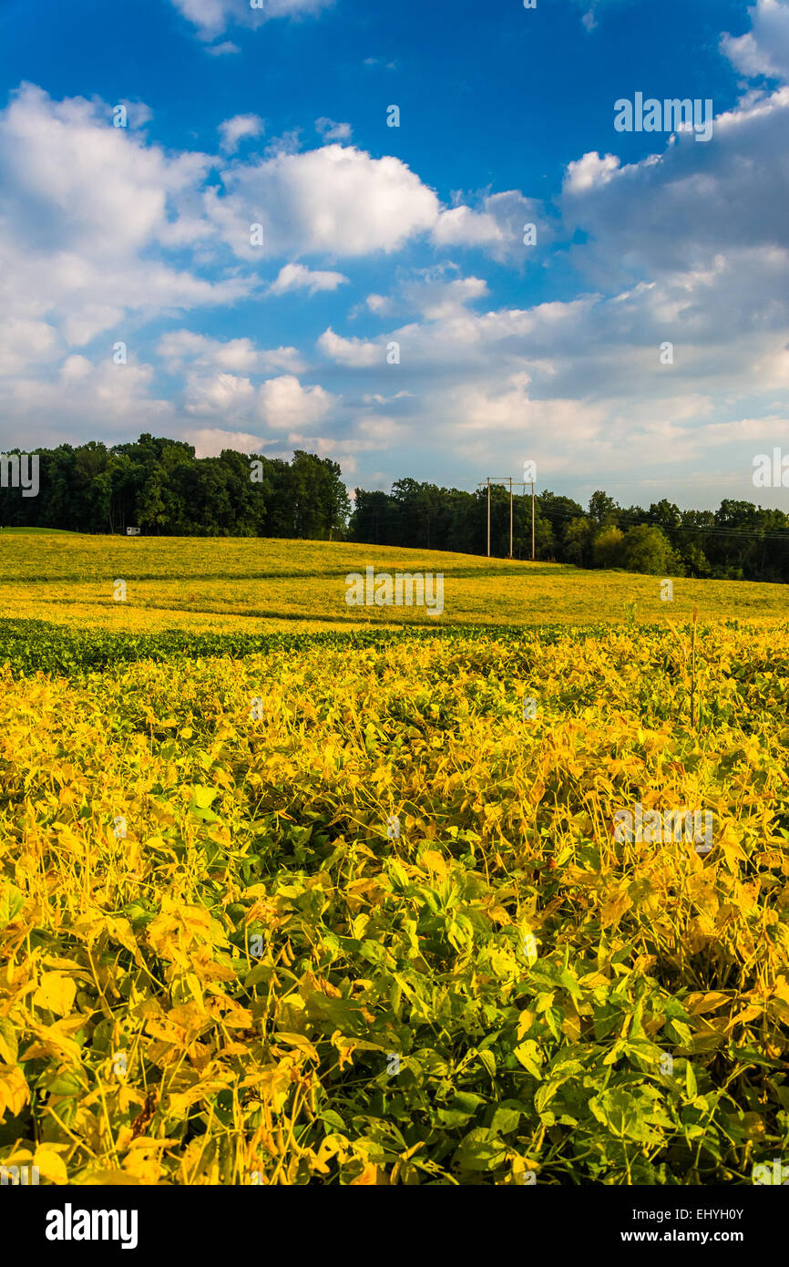 Colorful nature outdoors hi-res stock photography and images - Alamy