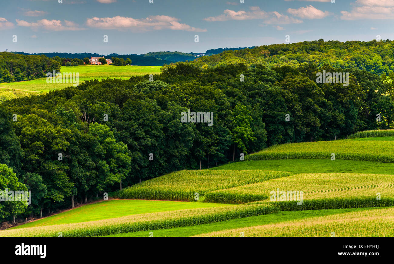 Corn fields and hills in rural Southern York County, Pennsylvania Stock ...