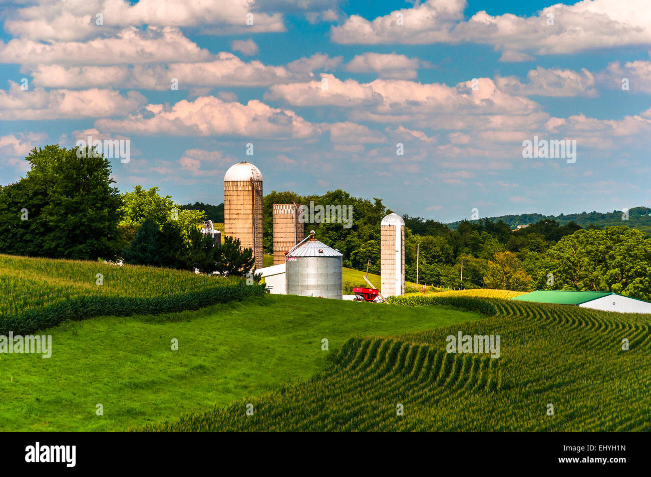 Corn fields and silos on a farm in Southern York County, Pennsylvania ...