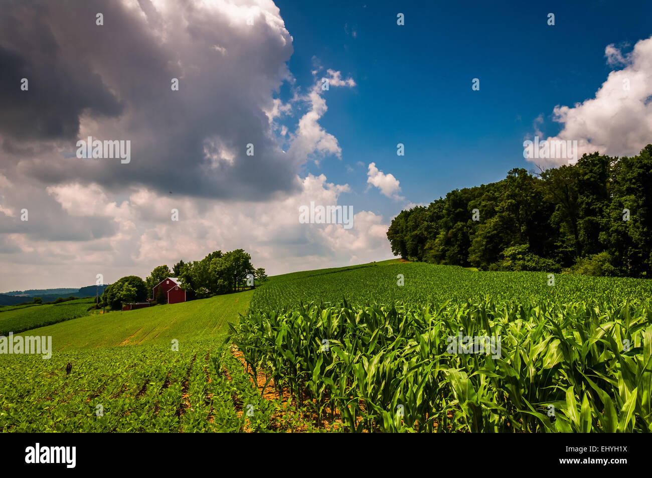 Southern barns hi-res stock photography and images - Alamy
