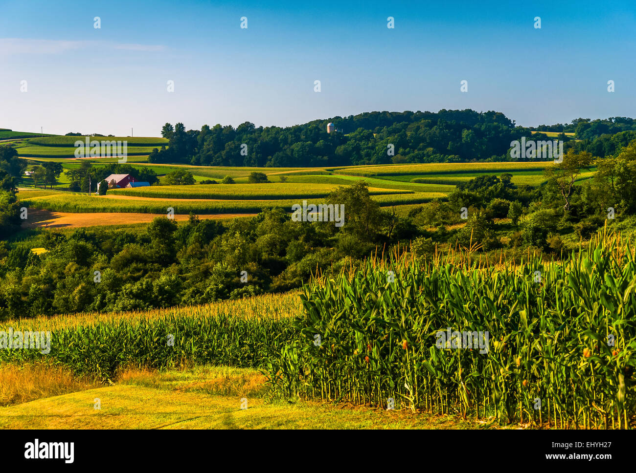 Cornfield and views of rolling hills and farms in Southern York County ...